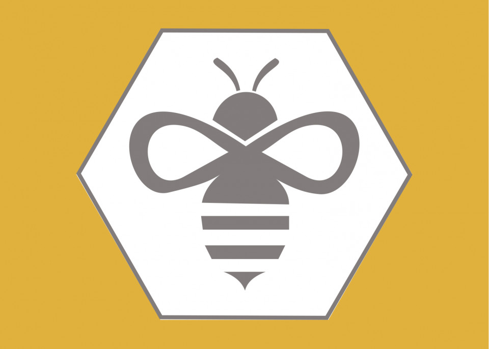 Apis Partners Recognised as a Top Performer in Industry ESG ...